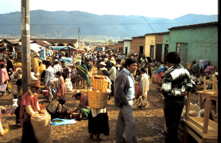 Exploring Social Solidarity Economy - The Borgen Project