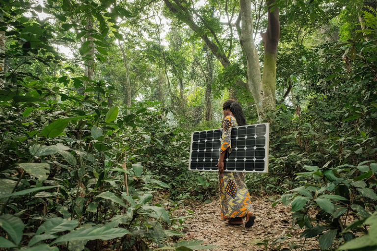 Solar Solutions in the Democratic Republic of Congo - The Borgen Project