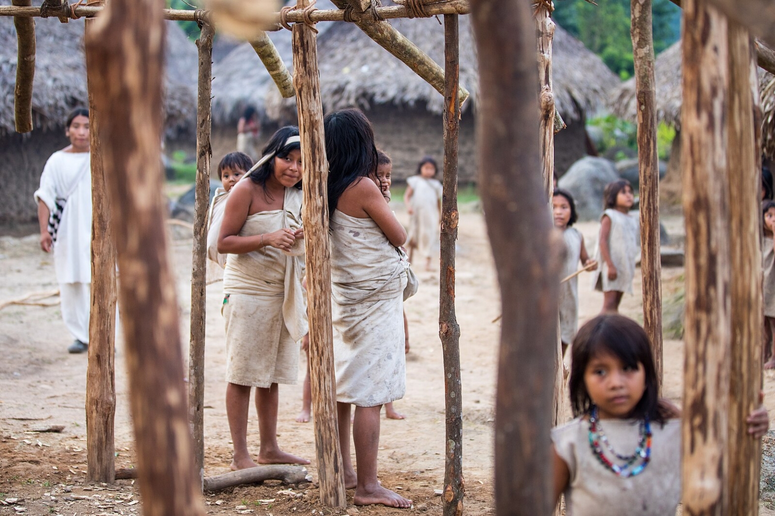 Sustainability in the Wake of the Colombian Armed Conflict - The Borgen ...