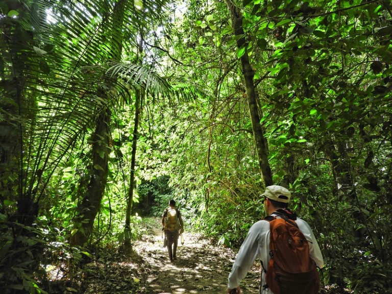The Darién Gap: Everything You Need To Know - The Borgen Project