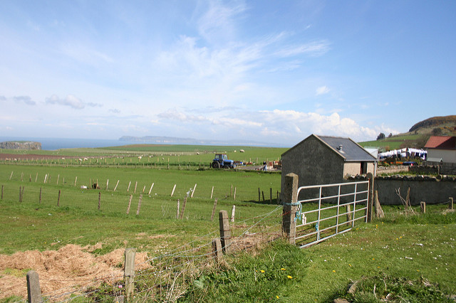 The History of Poverty in Ireland - The Borgen Project