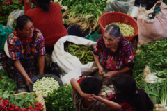Top 10 Facts About Hunger in Guatemala - The Borgen Project