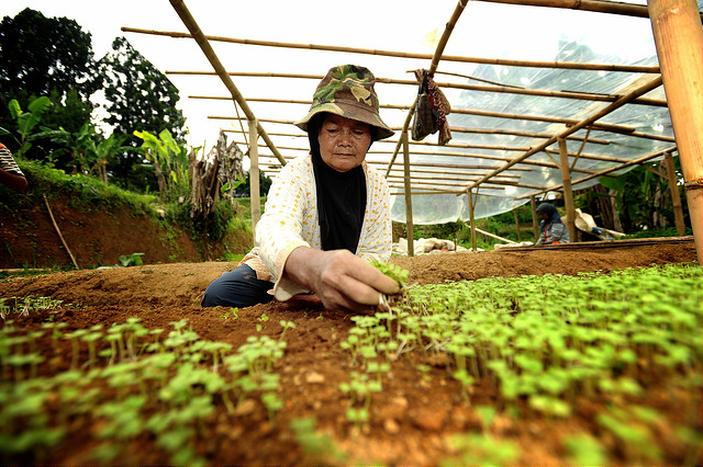 Key Facts About Poverty in Indonesia - The Borgen Project