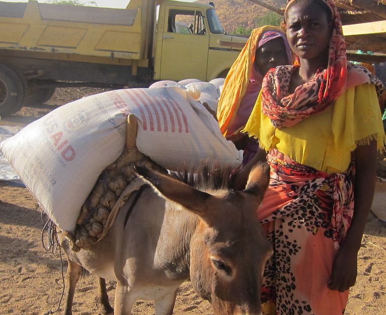 USAID Programs in Chad - The Borgen Project