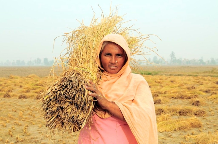 The Success of USAID in India - The Borgen Project