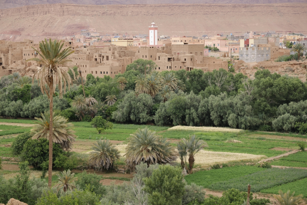 How Urban Agriculture in Morocco is Tackling Food Insecurity - The ...