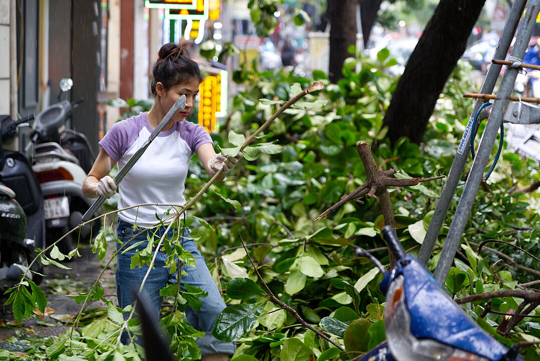 How International Aid Is Helping the Victims of Typhoon Yagi - The ...