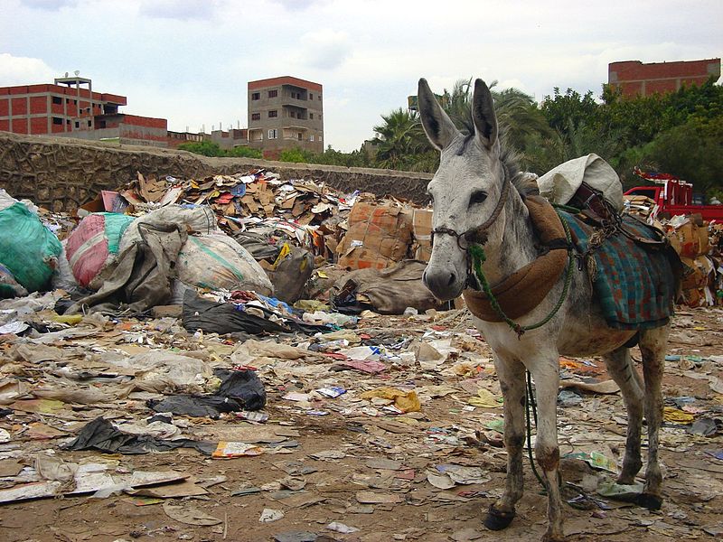 Waste Management in Cairo: An Informal Success - The Borgen Project