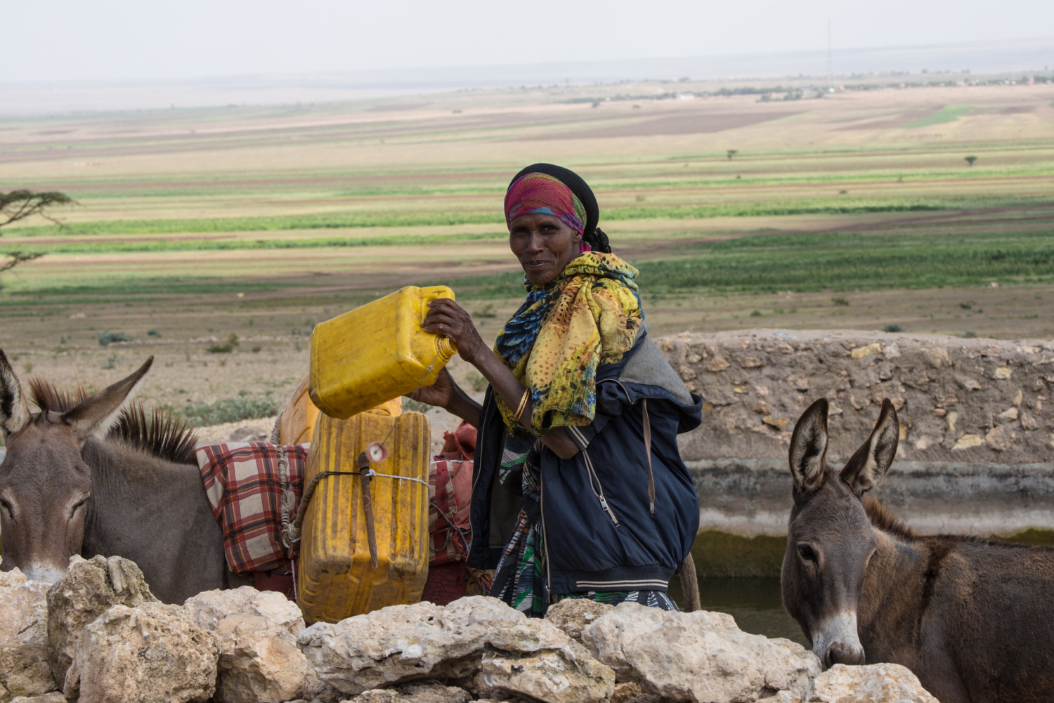 A Closer Look at the Water Crisis in Somalia - The Borgen Project