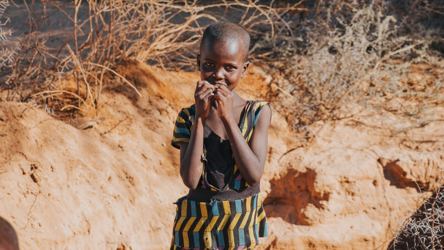 Lasting Solutions of WhyHunger - The Borgen Project