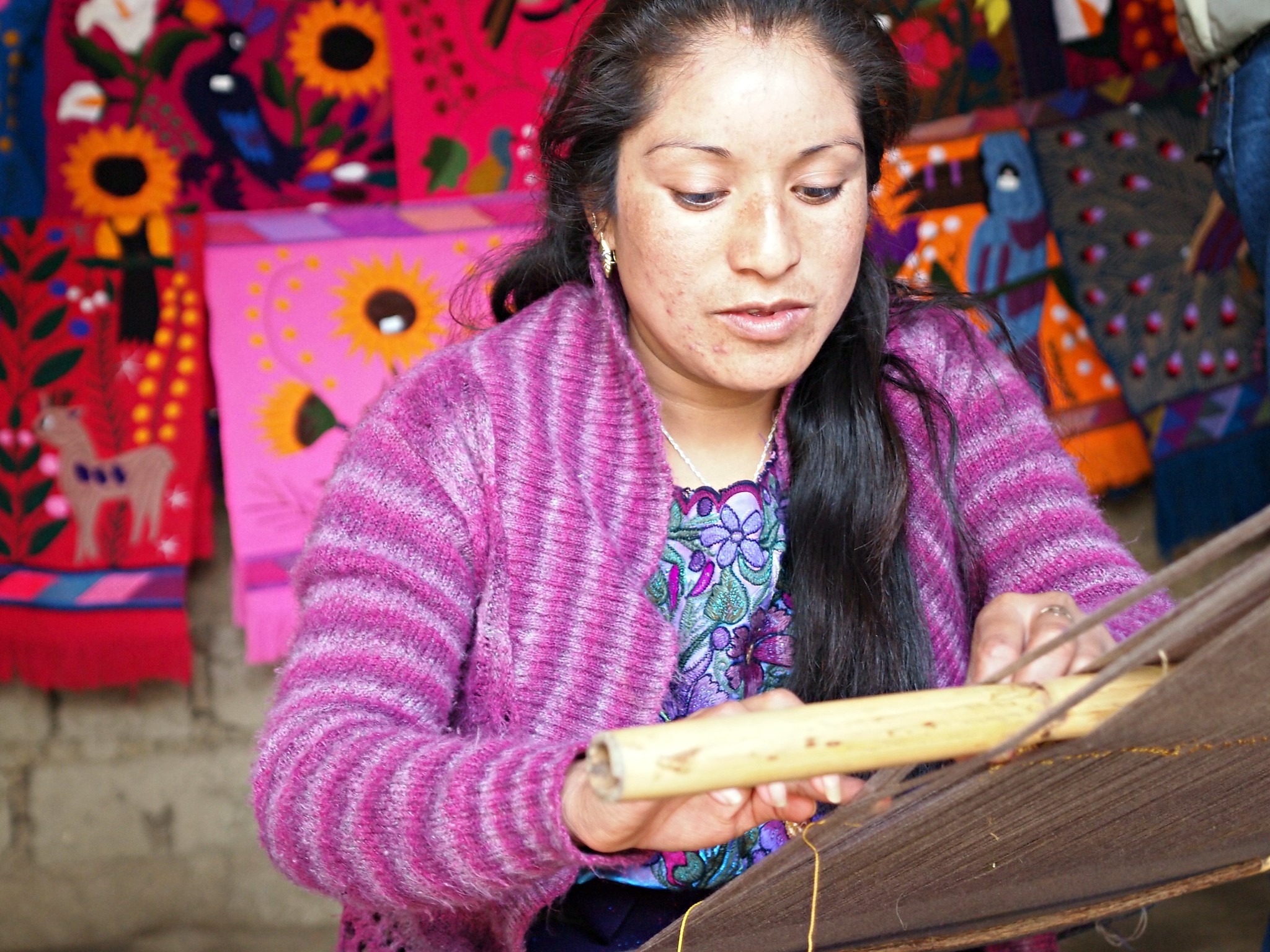 Women's Economic Empowerment in Mexico - The Borgen Project