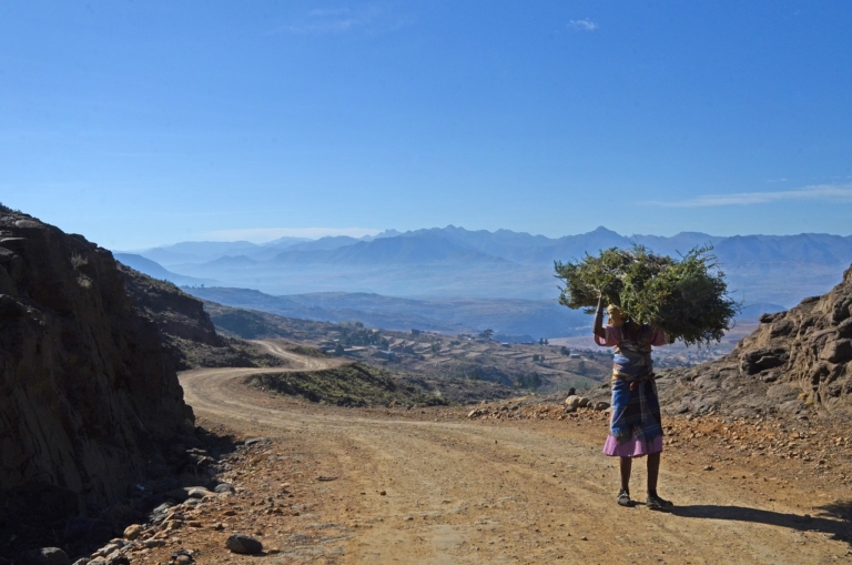 Progress Report on Women’s Rights in Lesotho - The Borgen Project