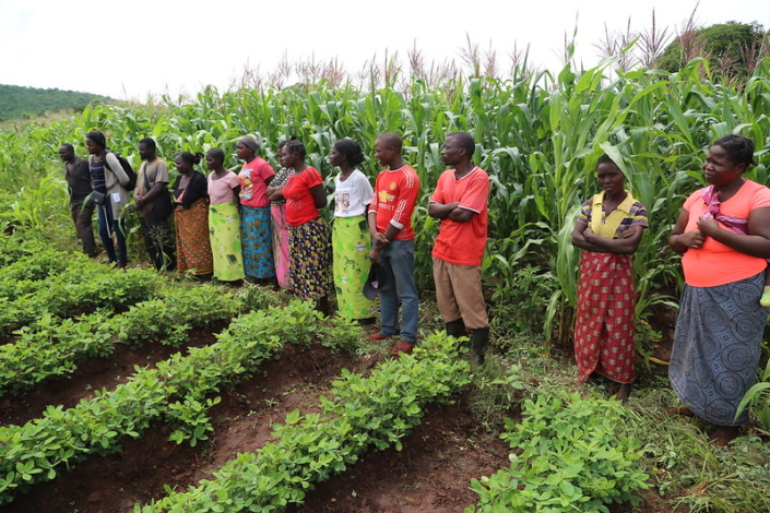 Assisting Zambia’s Agricultural Communities - The Borgen Project