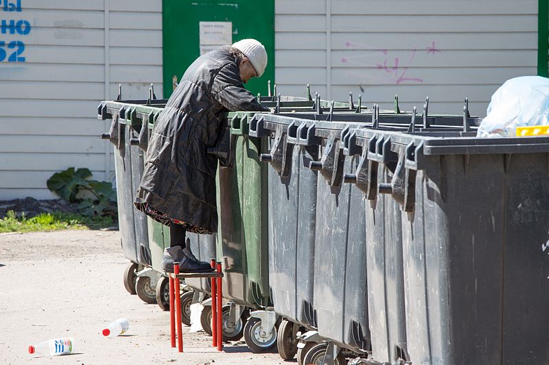 A New Perspective: Exploring Poverty in Russia Through Literature