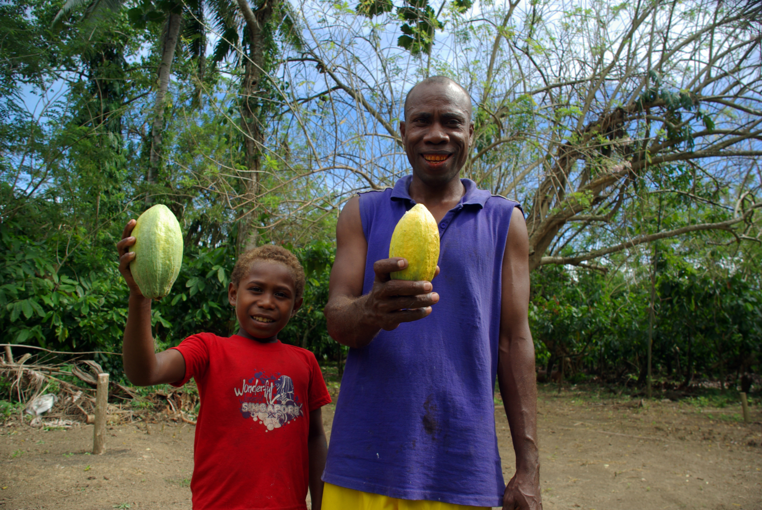 How to Improve the Lives of Cocoa Farmers in Côte d’Ivoire - The Borgen ...