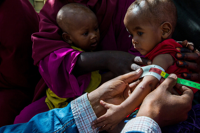 Five Facts About Food Insecurity and How to Combat It