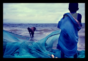 Walk Free Foundation - The Borgen Project