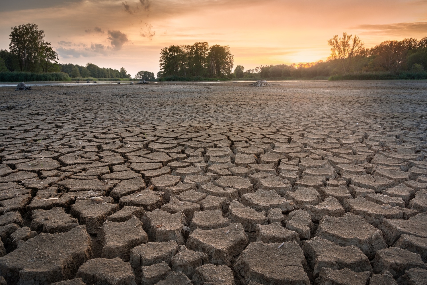 Causes and Ramifications of India’s Current Drought - The Borgen Project