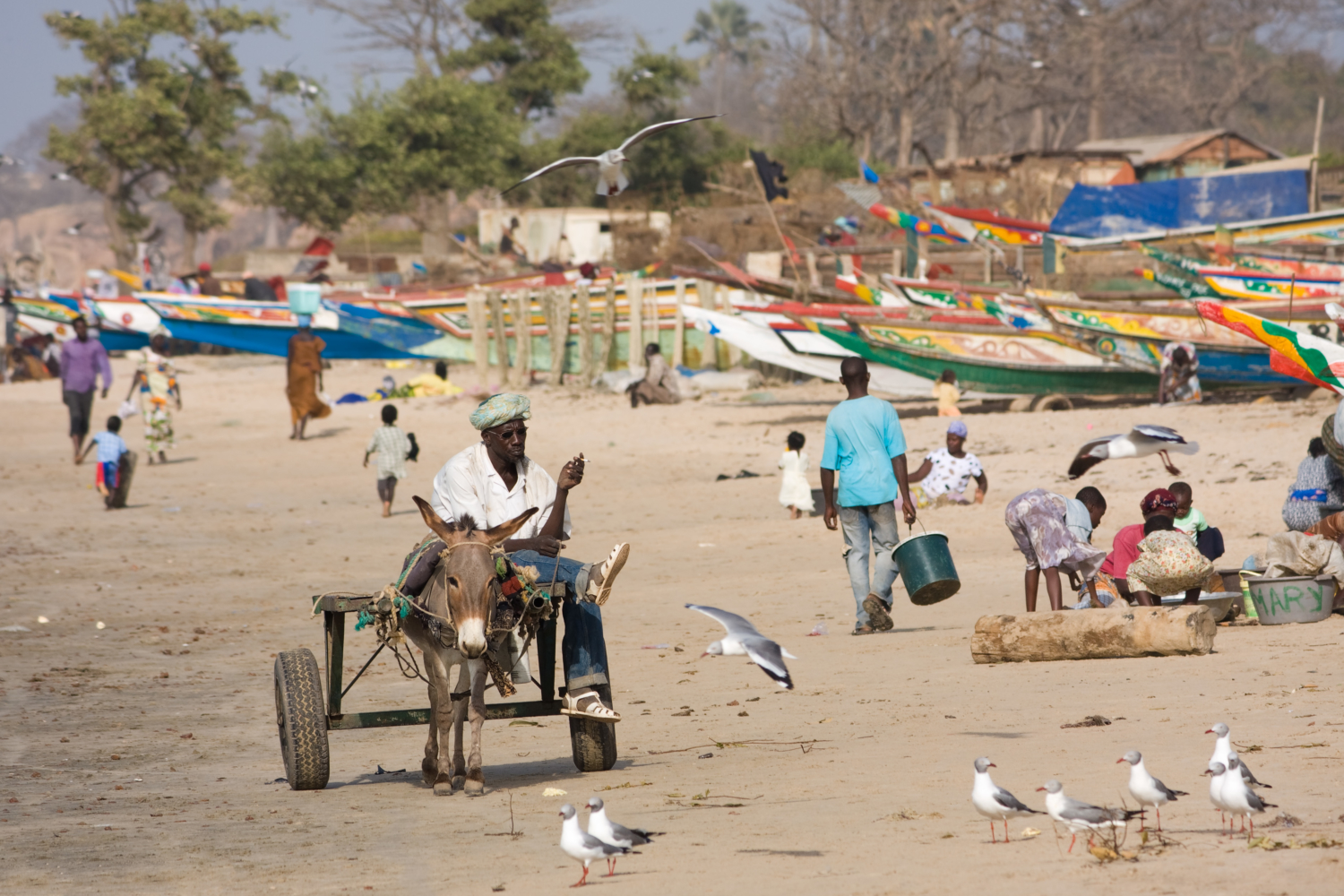 10 Facts About Living Conditions in Gambia - The Borgen Project