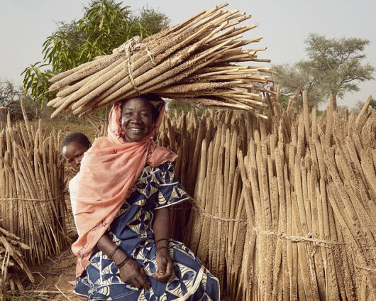 Sustainable Agriculture in Niger Building Resistance to Climate Change