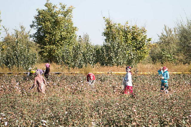 Uzbekistan Farming
