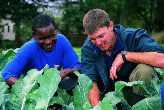 The Success of Sustainable Agriculture in Swaziland