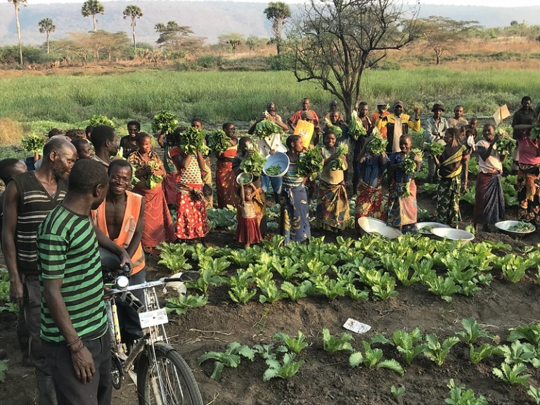 How the UN is Aiding the Democratic Republic of the Congo - The Borgen ...