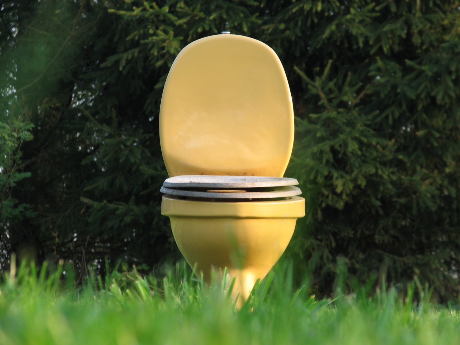 2 Surprising And Beneficial Uses Of Human Waste The Borgen Project
